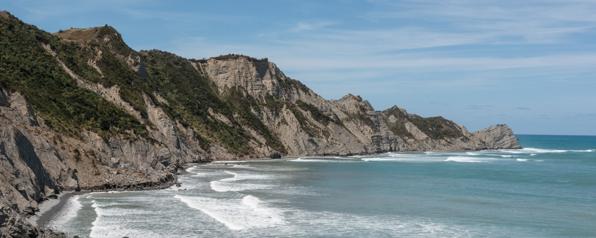 Home - REACH NZ NETWORK