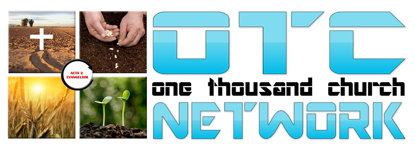 OTC NETWORK with Marty Rochford - REACH NZ NETWORK